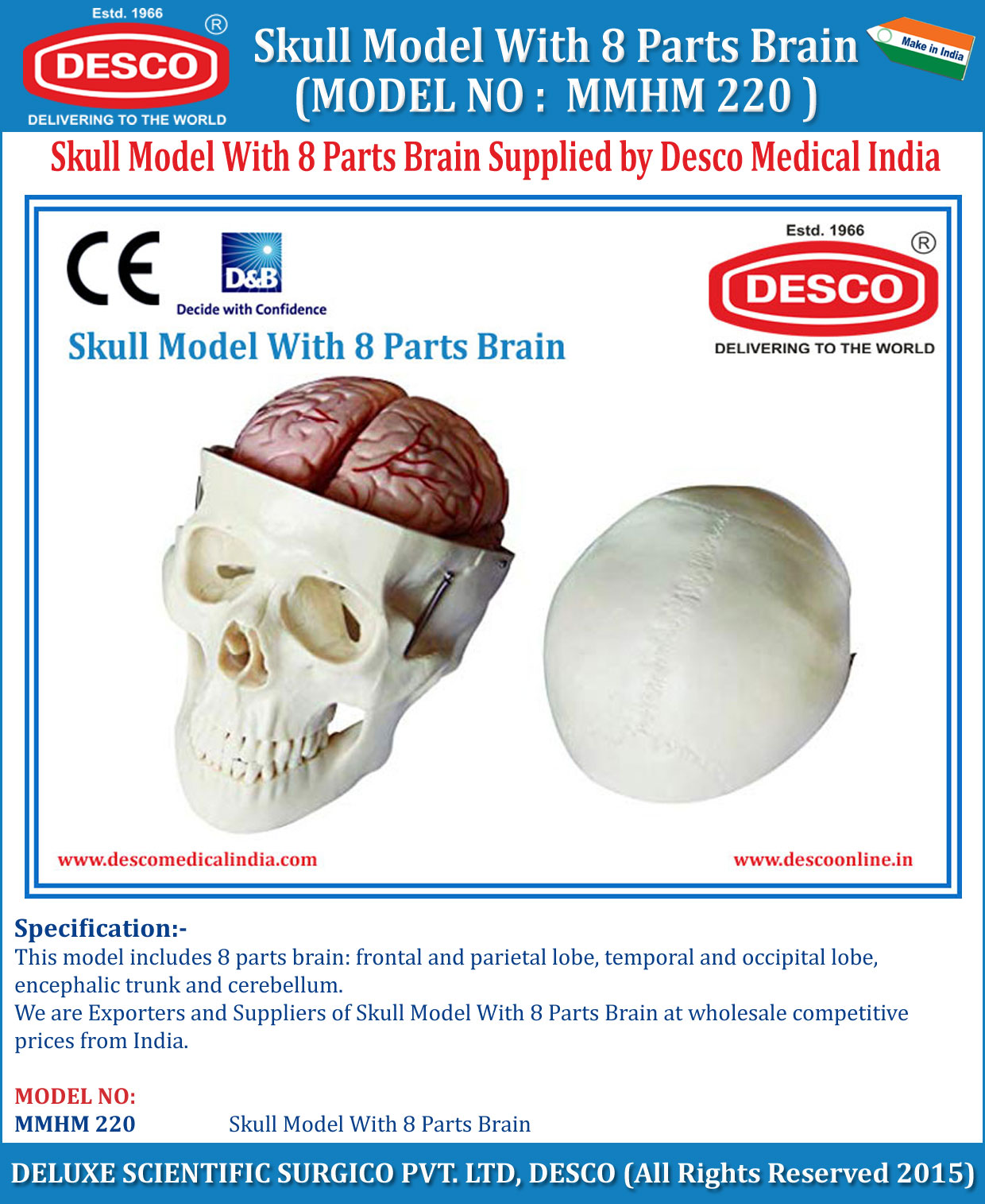 Skull Model With 8 Parts Brain | DESCO