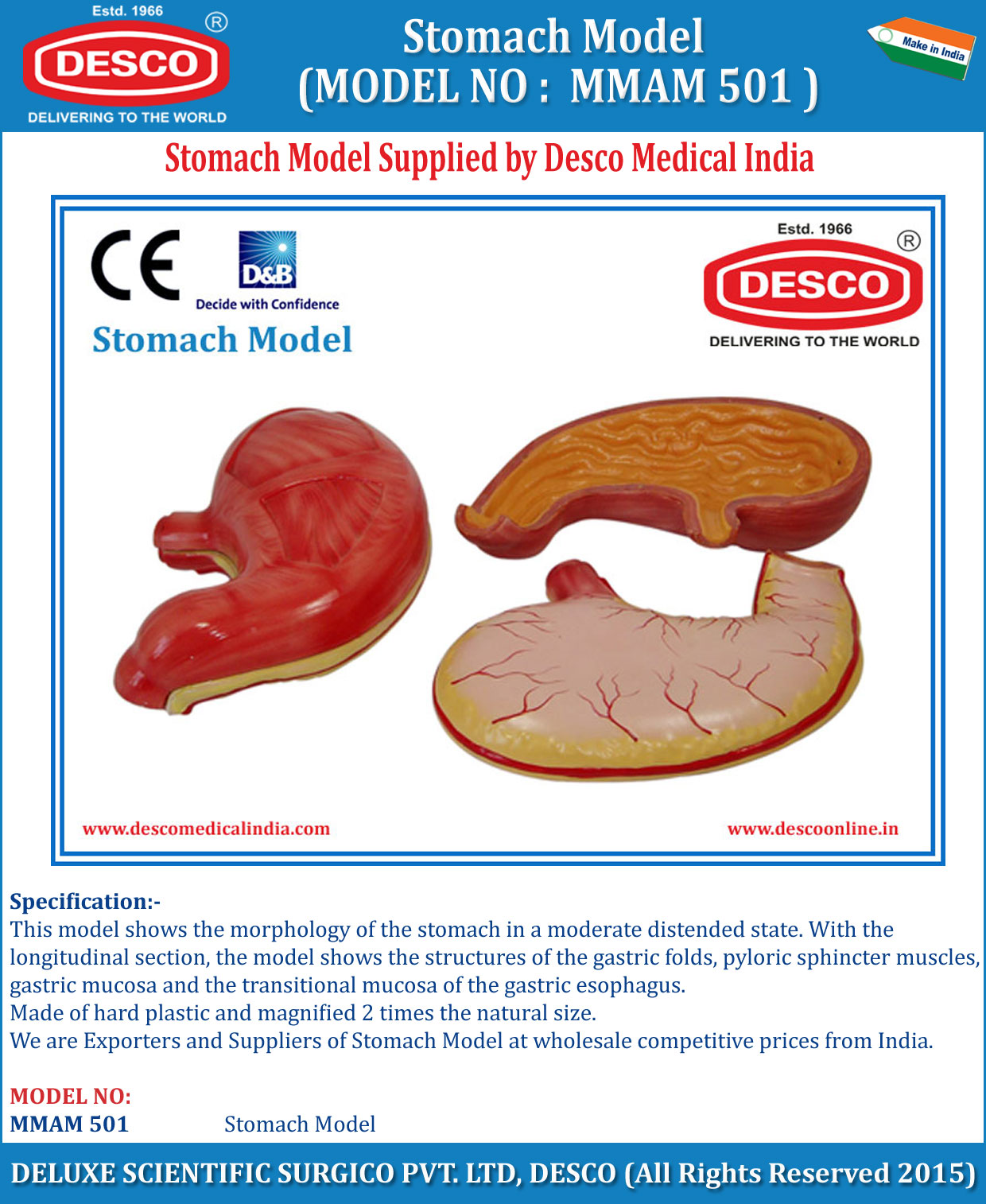 Stomach Model | Manufacturer and Exporter | Desco